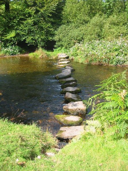 Stepping Free: Step One - Dr. Mary Anne Fifield, CSAT, CAS, LMFT.